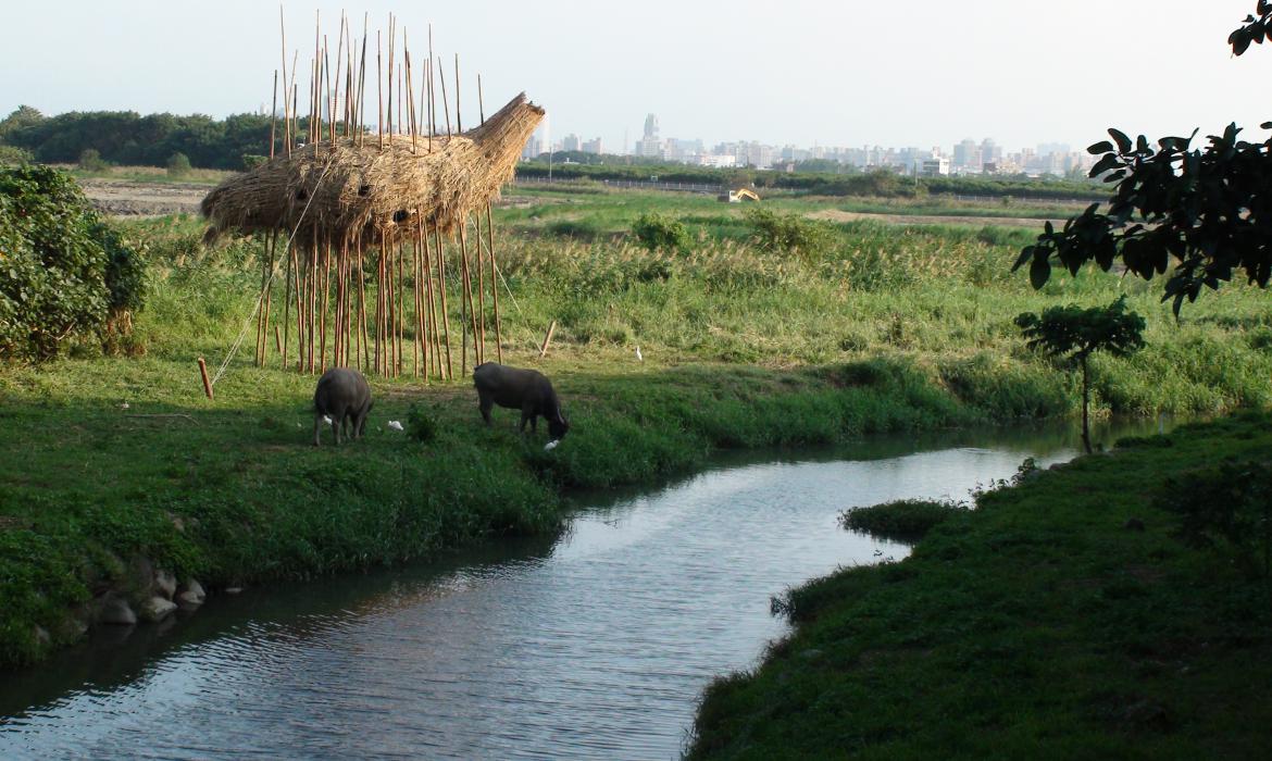 Bonggi Park｜呼吸 Breath | 關渡國際自然藝術季
